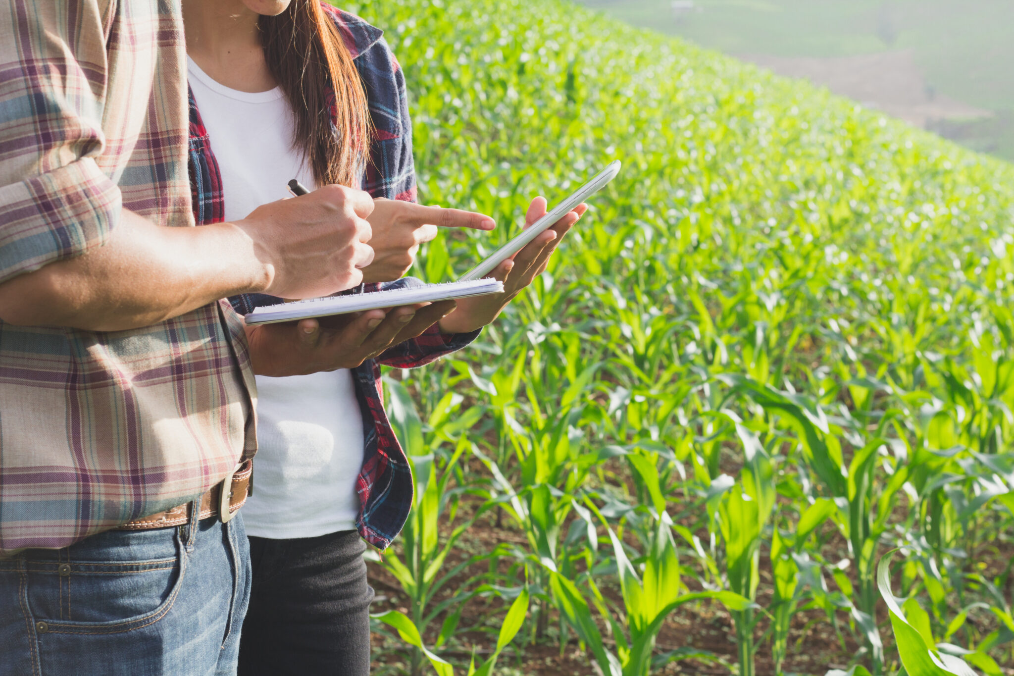 Become a biosecurity officer protecting Australia’s future - National ...